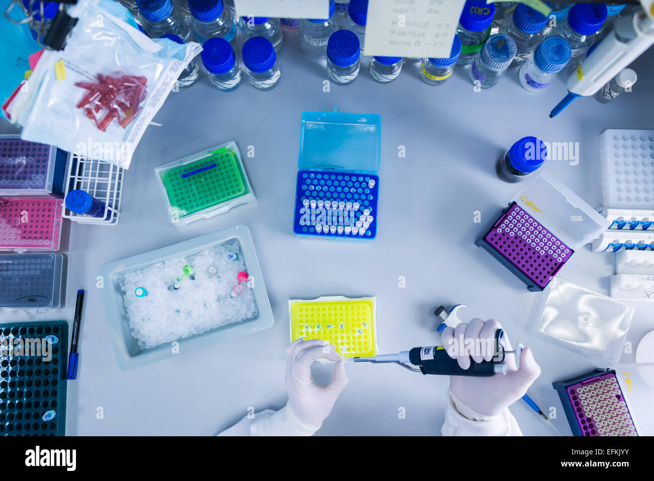 Laboratory Liquid Nitrogen Test Tube High Resolution Stock Photography ...