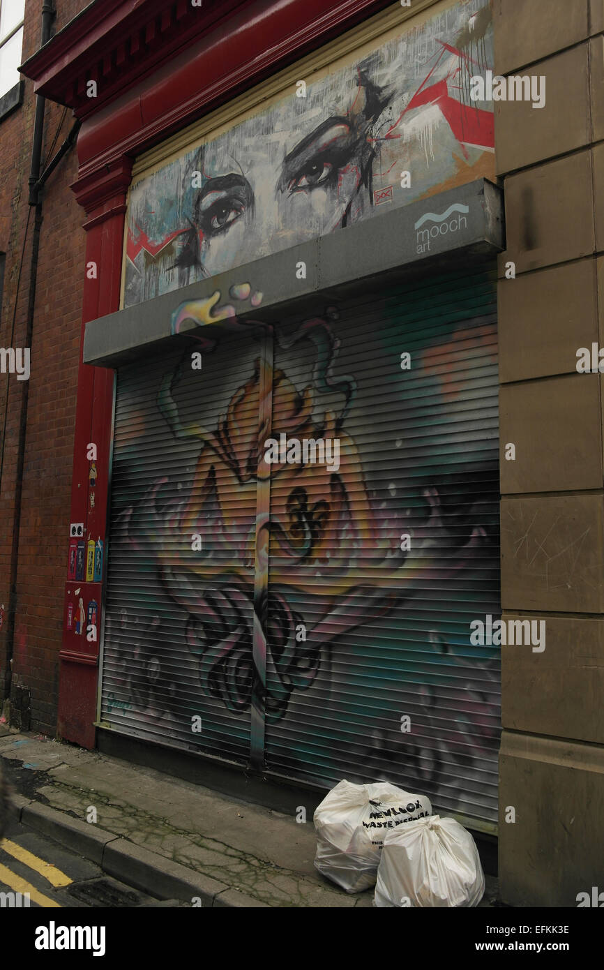 Oblique portrait murals by Narcelio Grud and DOC artists, roller blinds ...