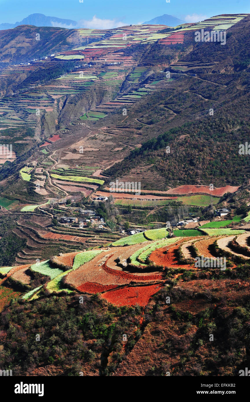 Terraced fields, Yunnan, China Stock Photo - Alamy