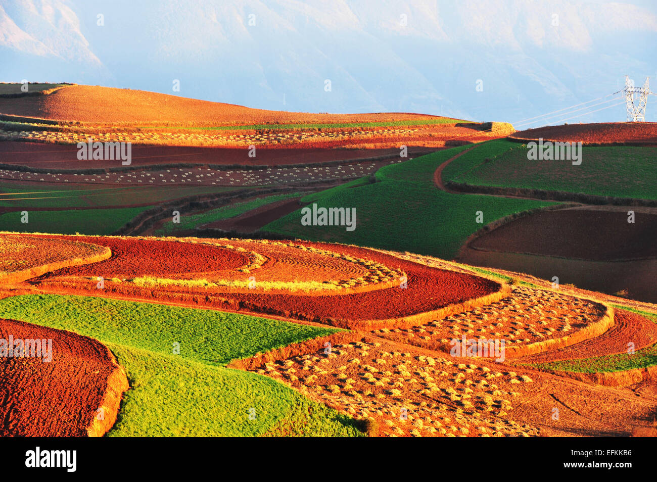 Colourful fields, Yunnan, China Stock Photo - Alamy