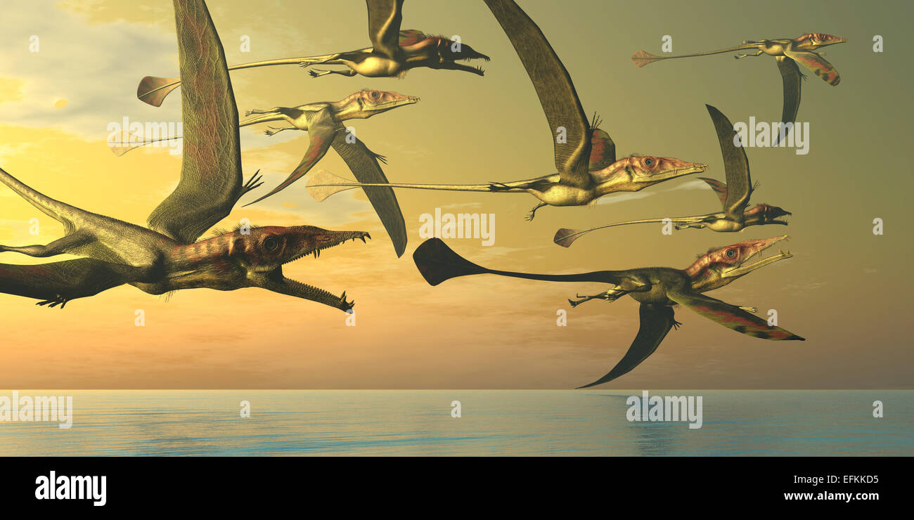 El Esqueleto Eudimorphodon