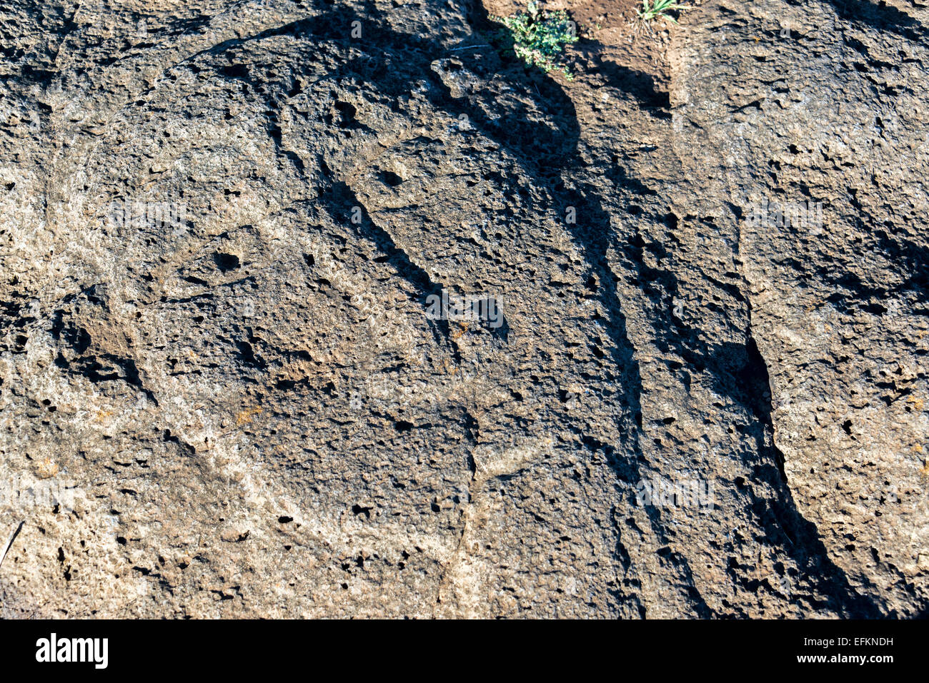 Petroglyph of the Easter Island creation god Makemake Stock Photo - Alamy