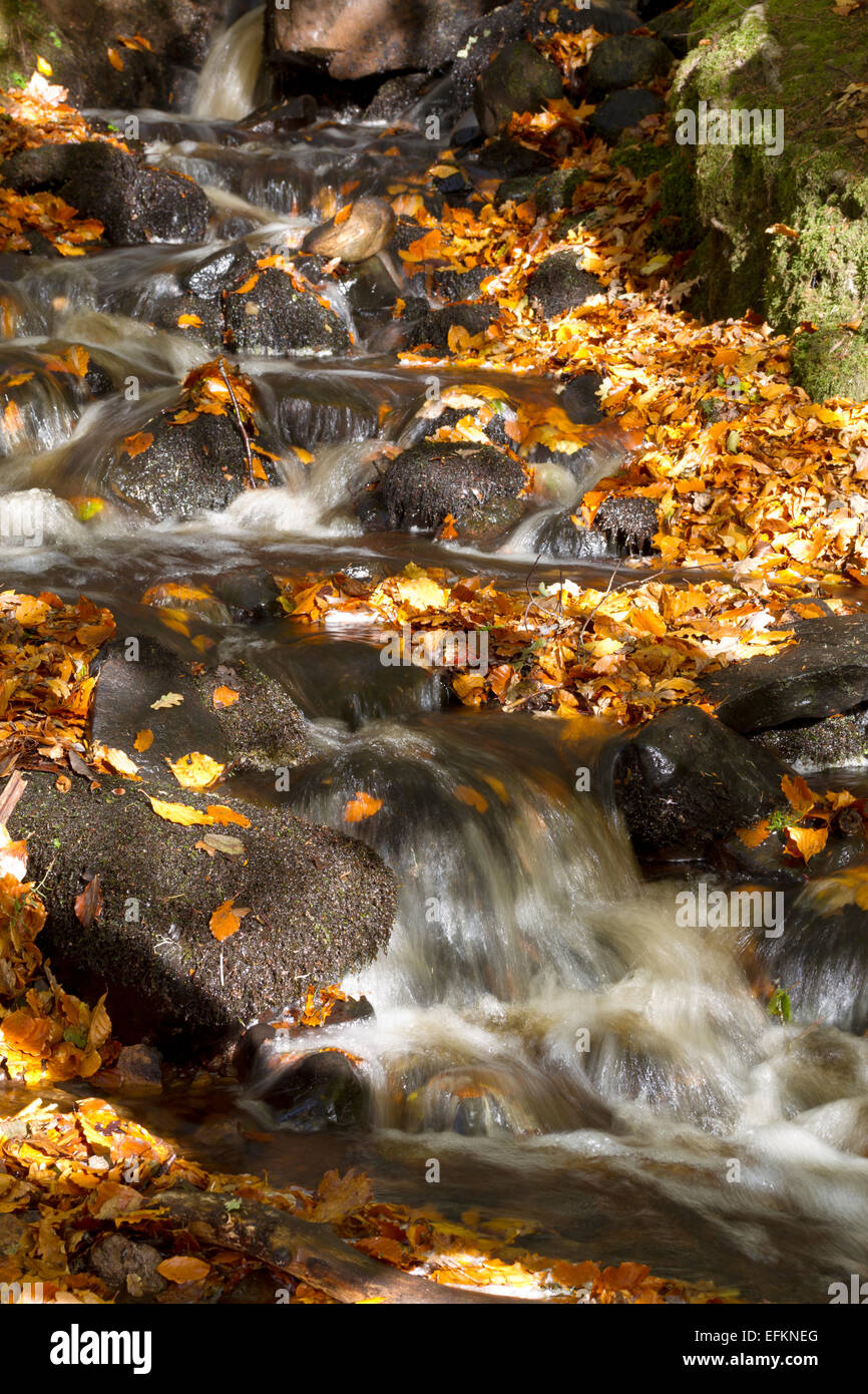 Stream highland hi-res stock photography and images - Alamy