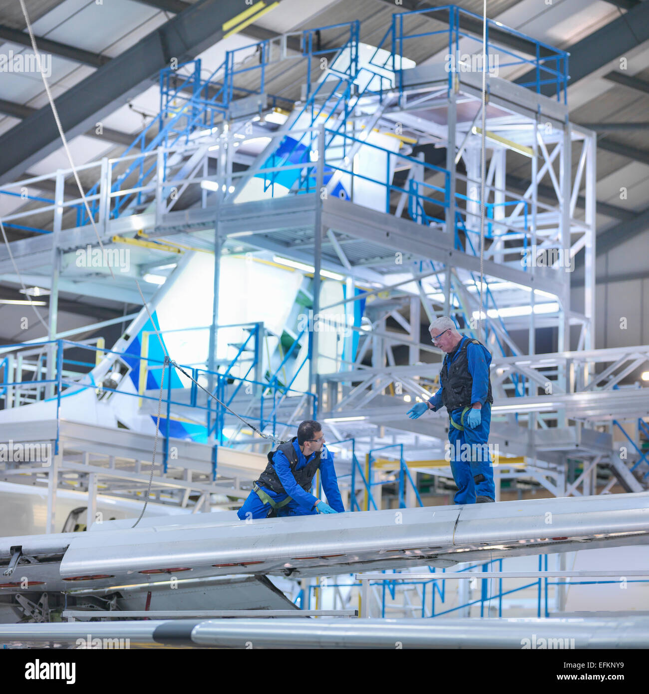 White in the wing hi-res stock photography and images - Alamy