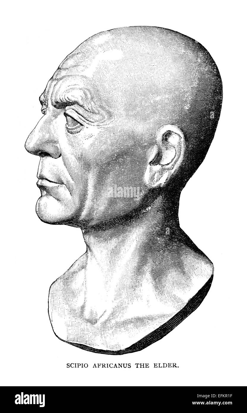 Scipio africanus Black and White Stock Photos & Images - Alamy