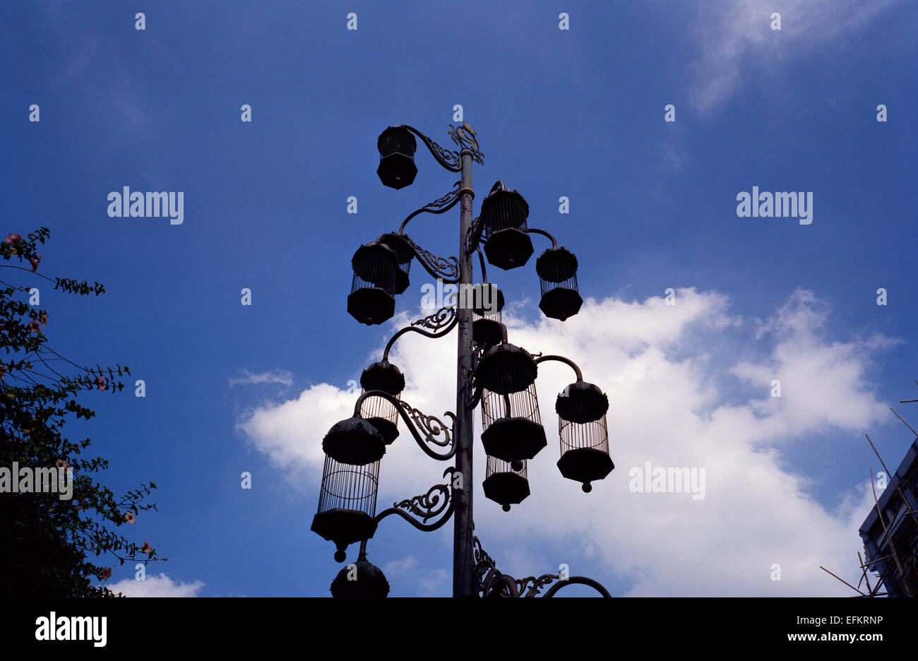 Urban street light in Solo Surakarta in Java in Indonesia in Southeast ...