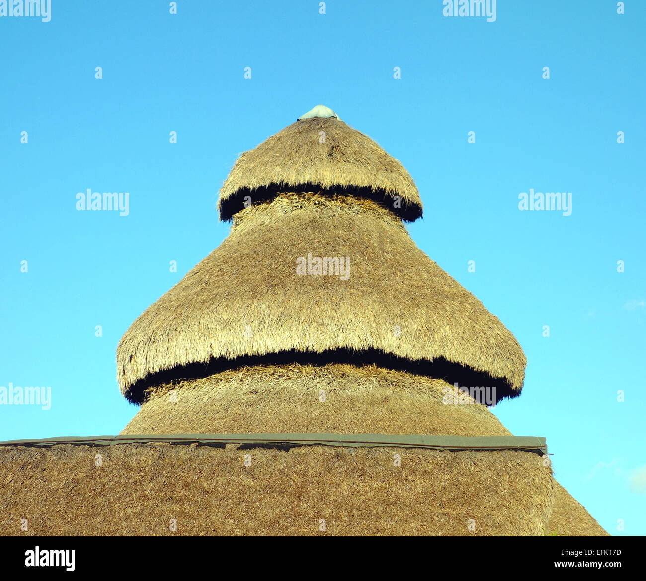 Palm roof hi-res stock photography and images - Alamy