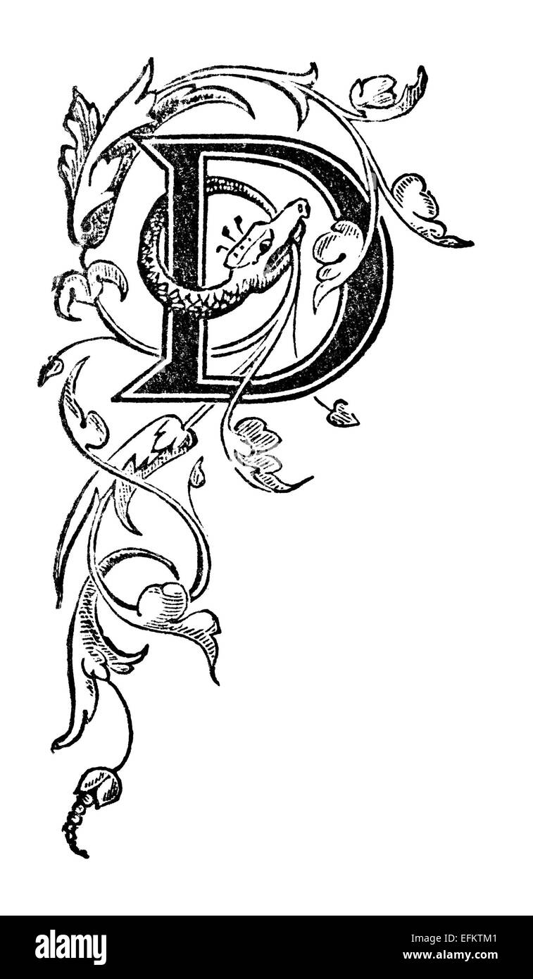 Victorian elegant design vine pattern letter D. Digitally restored from ...