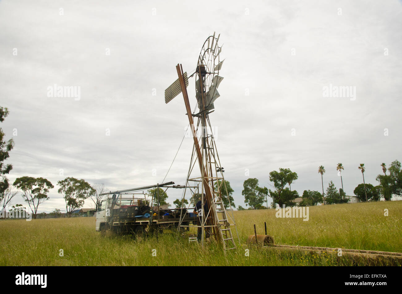 Windmill maintenance on Australian farm Stock Photo - Alamy