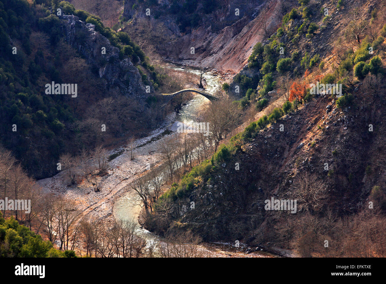 Argithea hi-res stock photography and images - Alamy