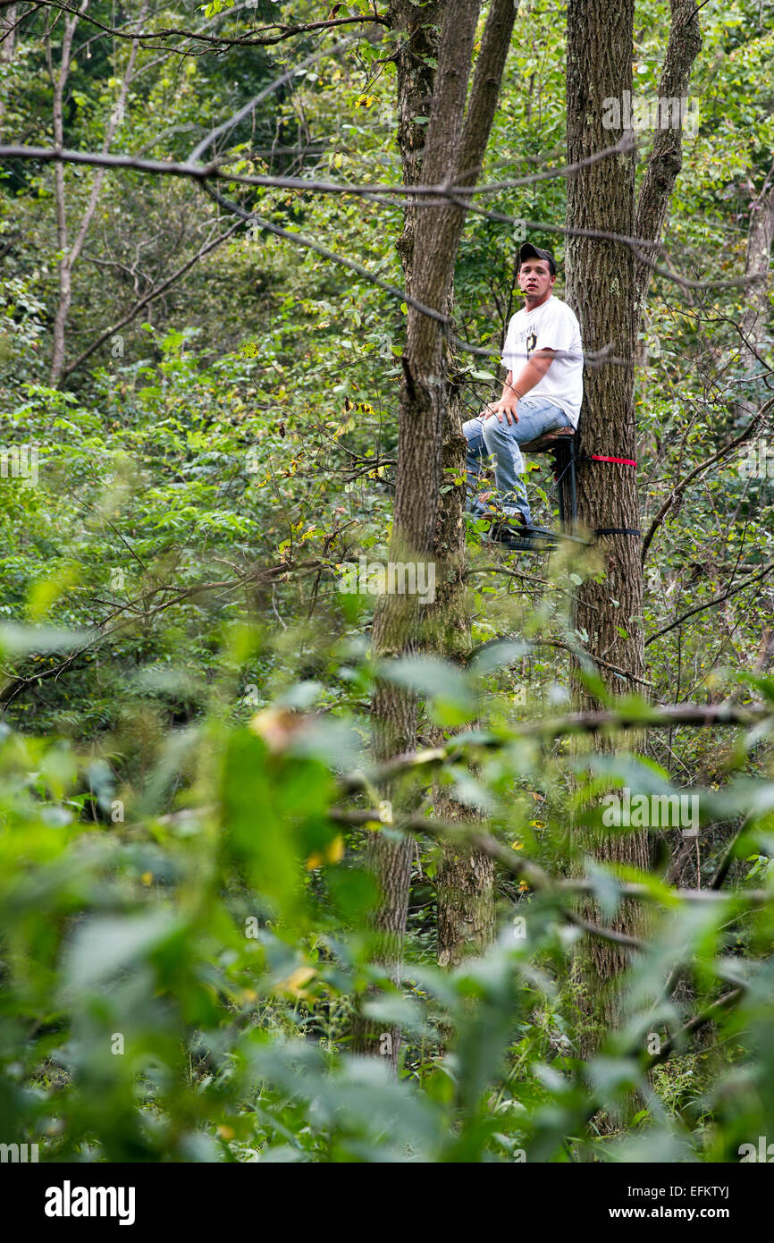 Hunter sitting in tree stand hi-res stock photography and images - Alamy