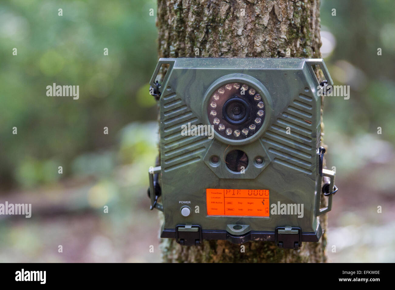 Video camera wildlife hi-res stock photography and images - Alamy
