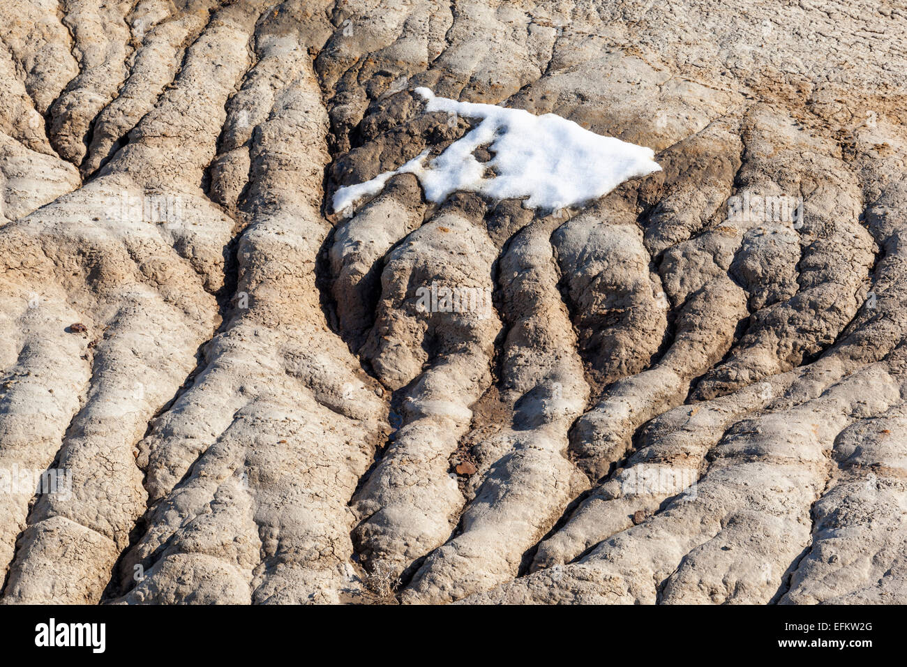Erosion patterns, Dinosaur Provincial Park, Alberta, Canada Stock Photo ...