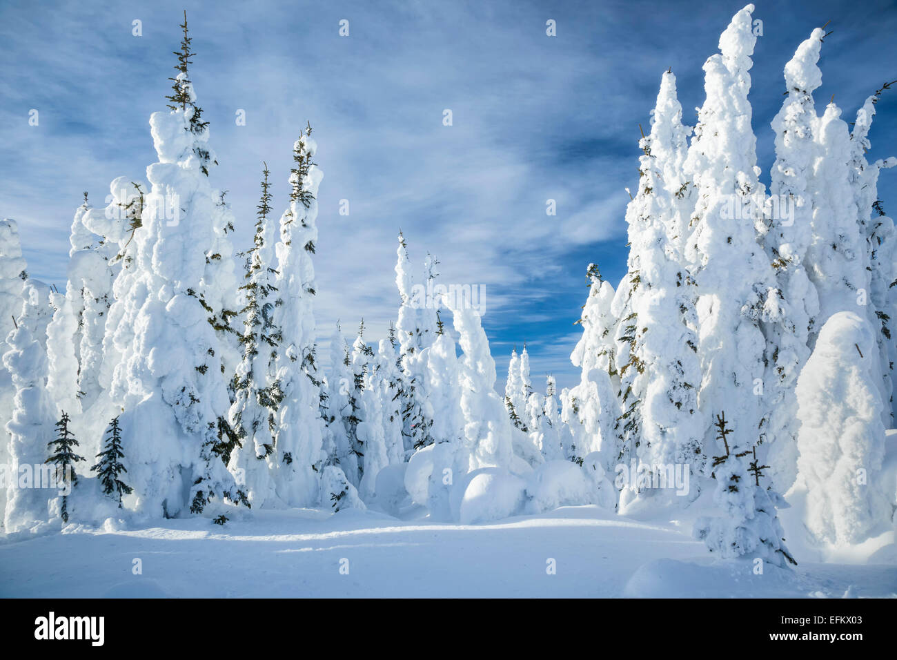 Silver star mountain hi-res stock photography and images - Alamy