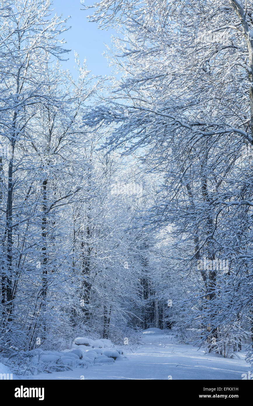 Goderich ontario hi-res stock photography and images - Alamy