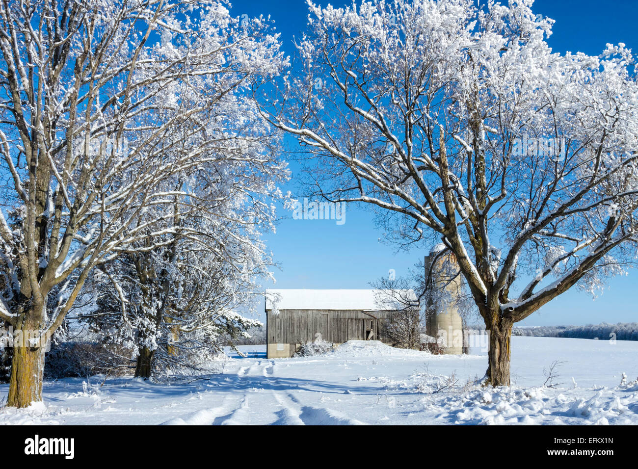 Old barn and silo, winter, Near Benmiller, Ontario, Canada Stock Photo ...
