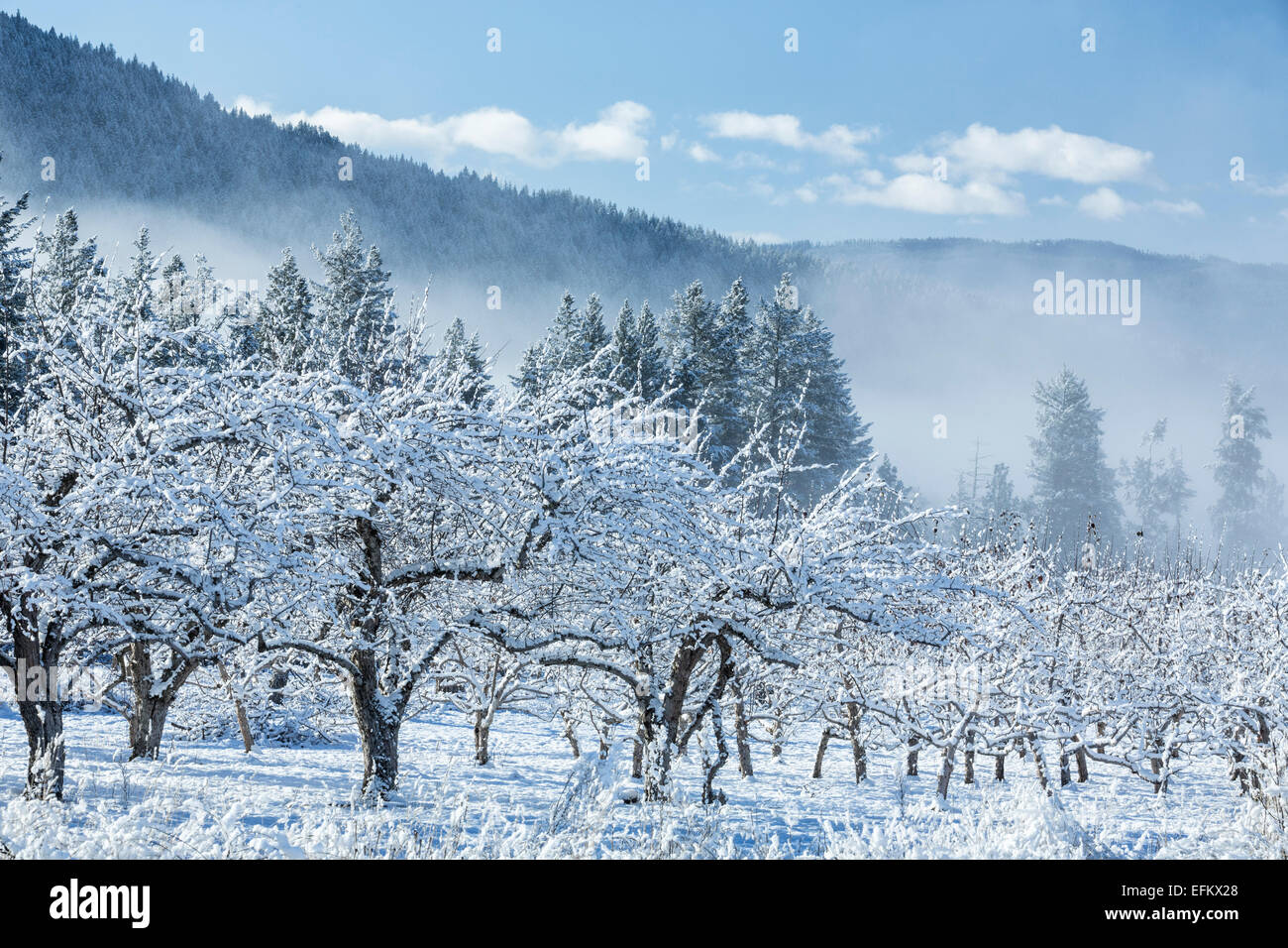 British columbia landscapes hi-res stock photography and images - Alamy