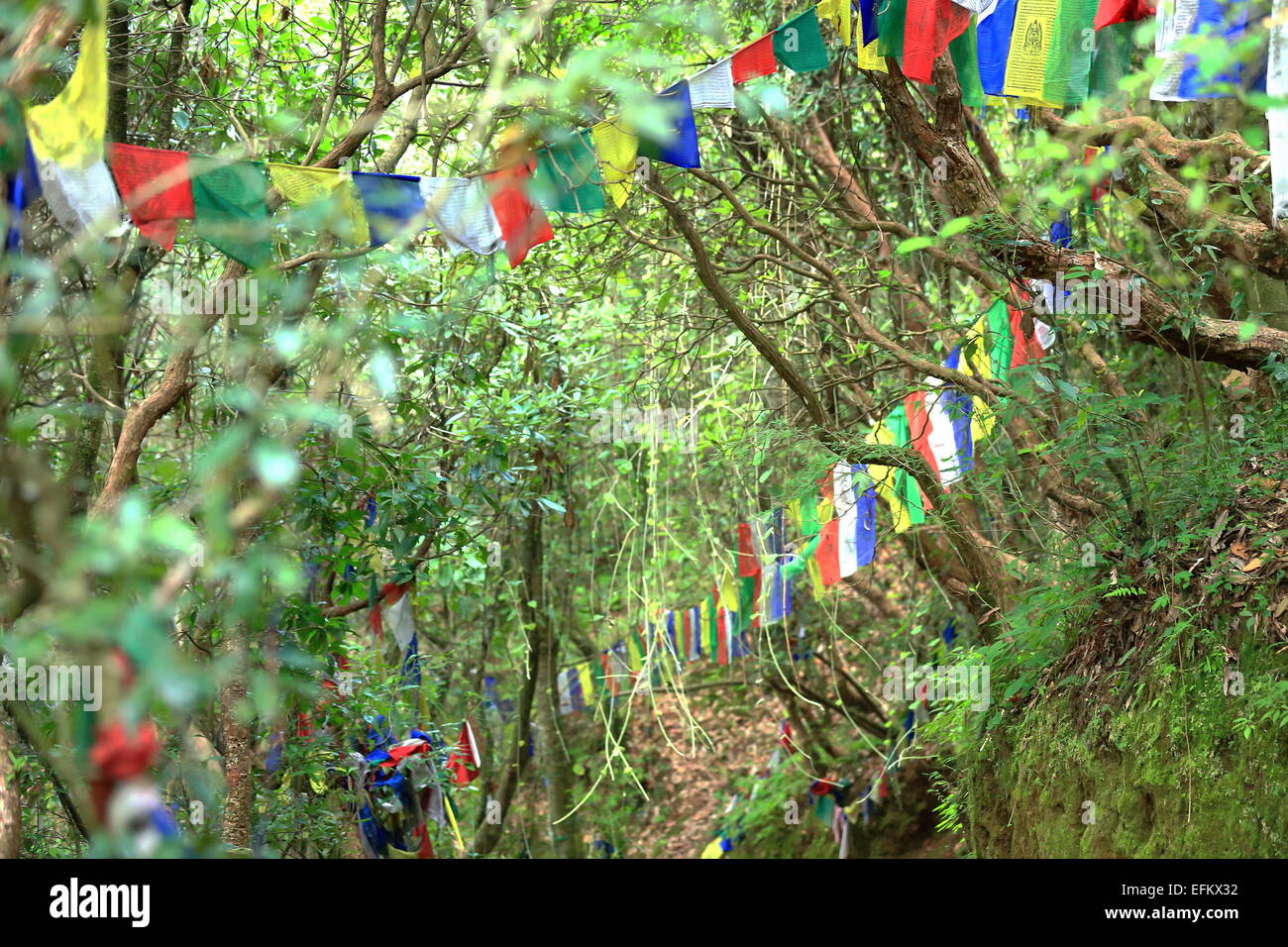 Khenchen thrangu rinpoche hi-res stock photography and images - Alamy