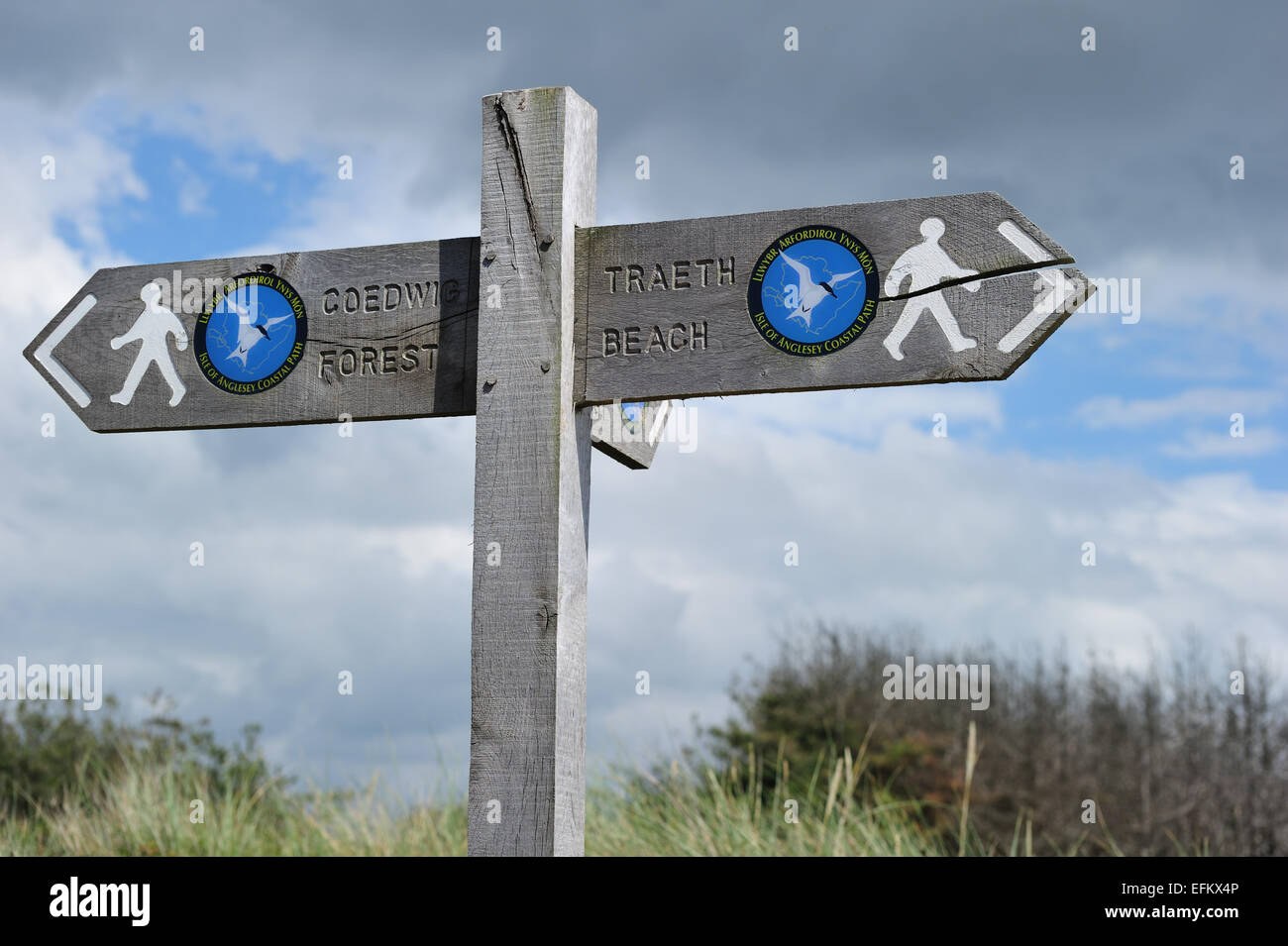 Isle of Anglesey Coastal Path footpath sign, Anglesey, Wales, UK Stock ...