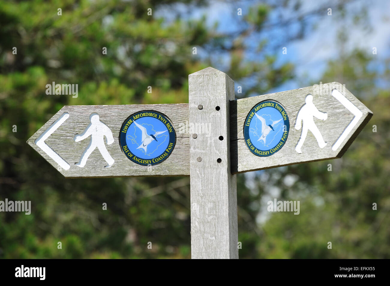 Isle of Anglesey Coastal Path footpath sign, Anglesey, Wales, UK Stock ...