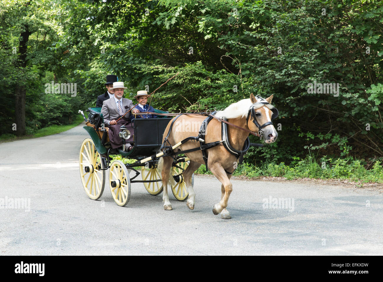 International competition for traditional carriages "La Venaria Reale ...