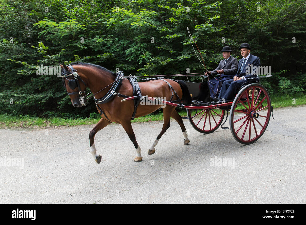 International competition for traditional carriages "La Venaria Reale ...