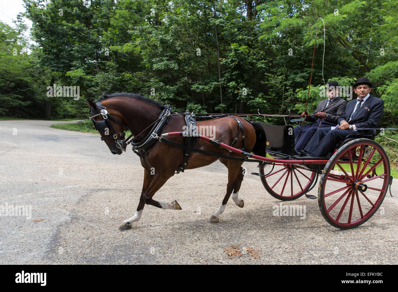 International competition for traditional carriages "La Venaria Reale ...
