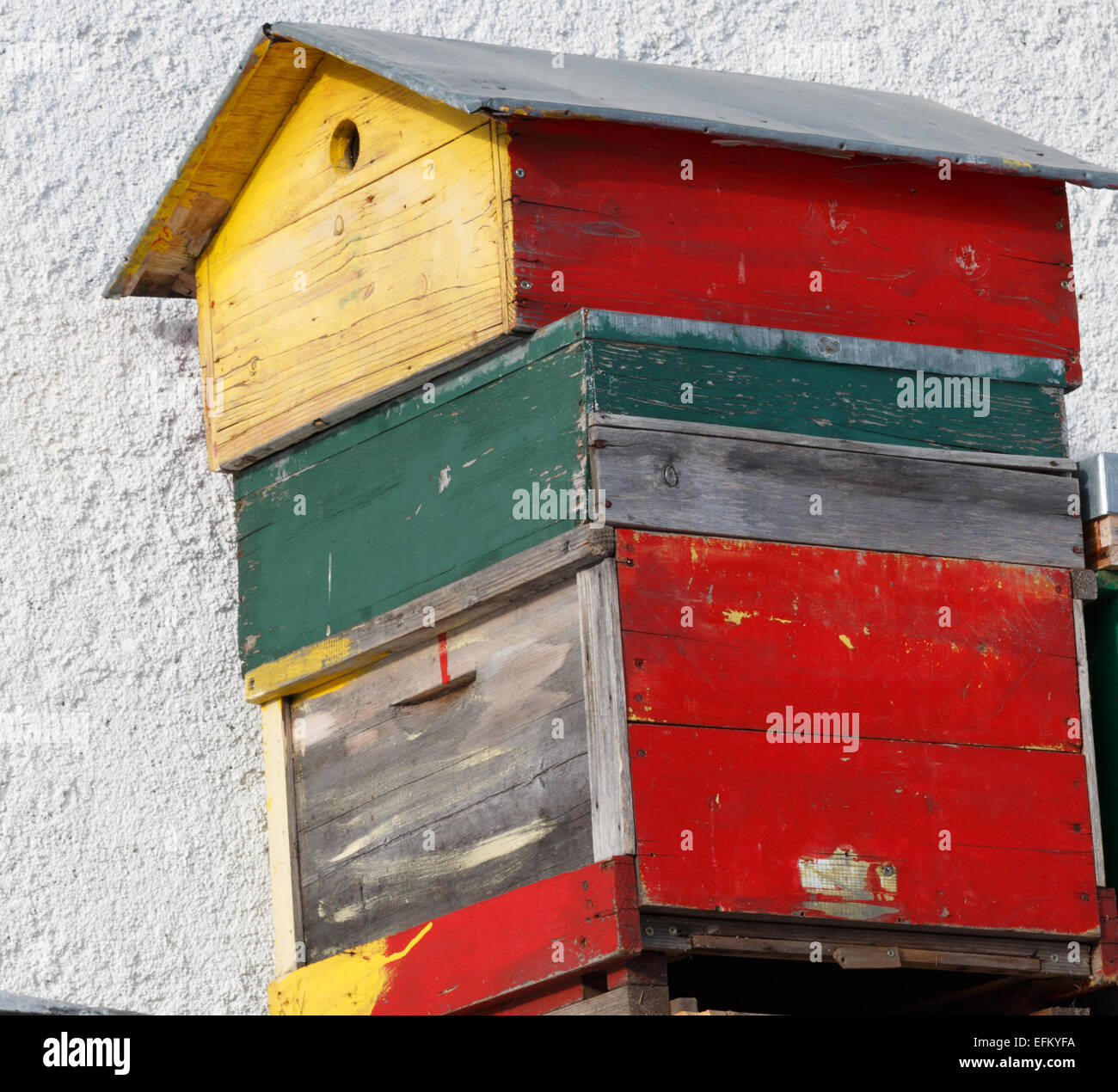 Wbc hive hi-res stock photography and images - Alamy