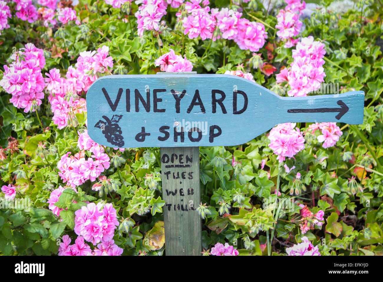 Vineyard signage hi-res stock photography and images - Alamy