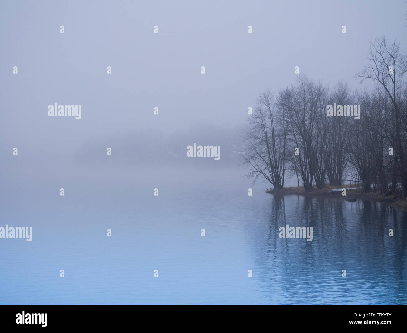 Fog on river Stock Photo - Alamy