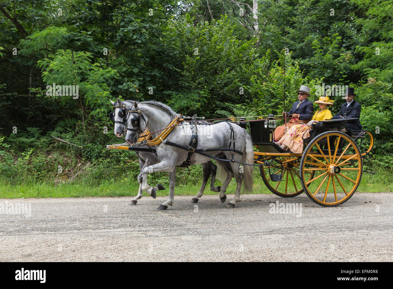 Curricle carriage hi-res stock photography and images - Alamy
