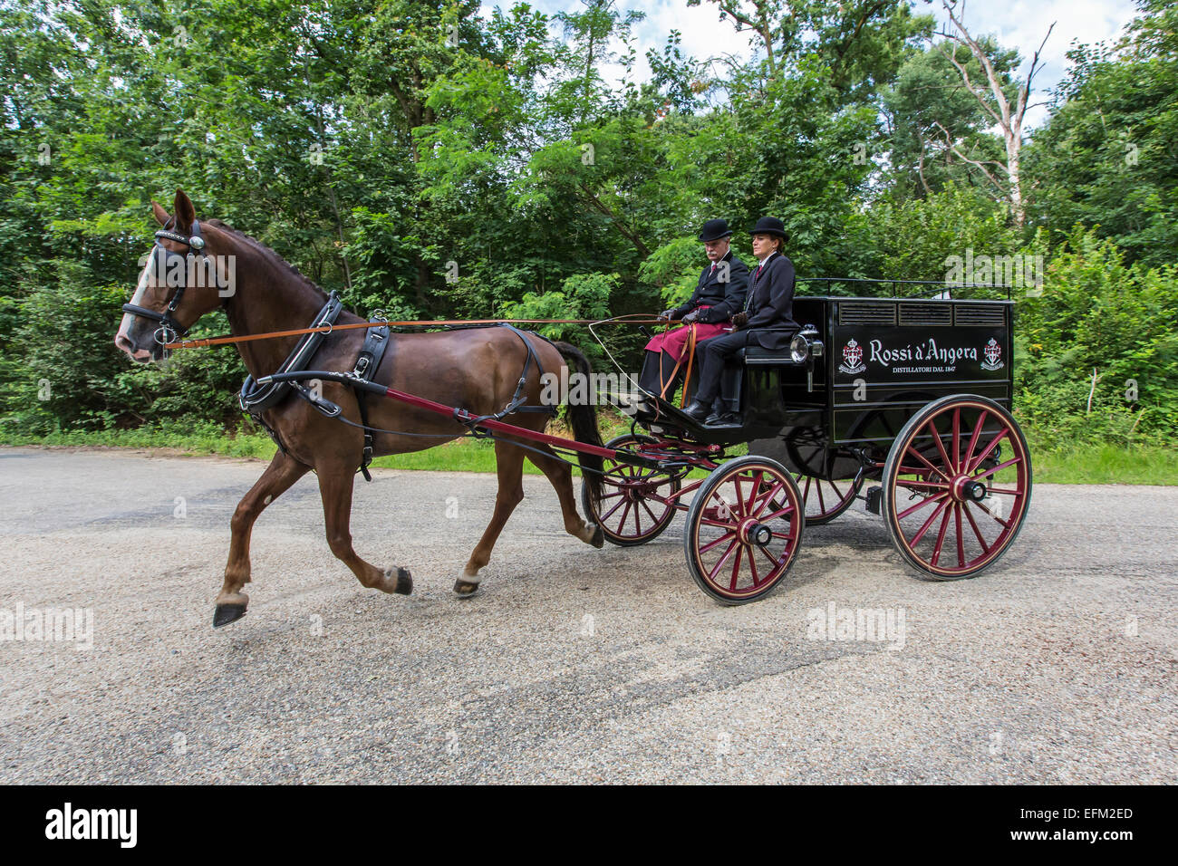 International competition for traditional carriages "La Venaria Reale ...