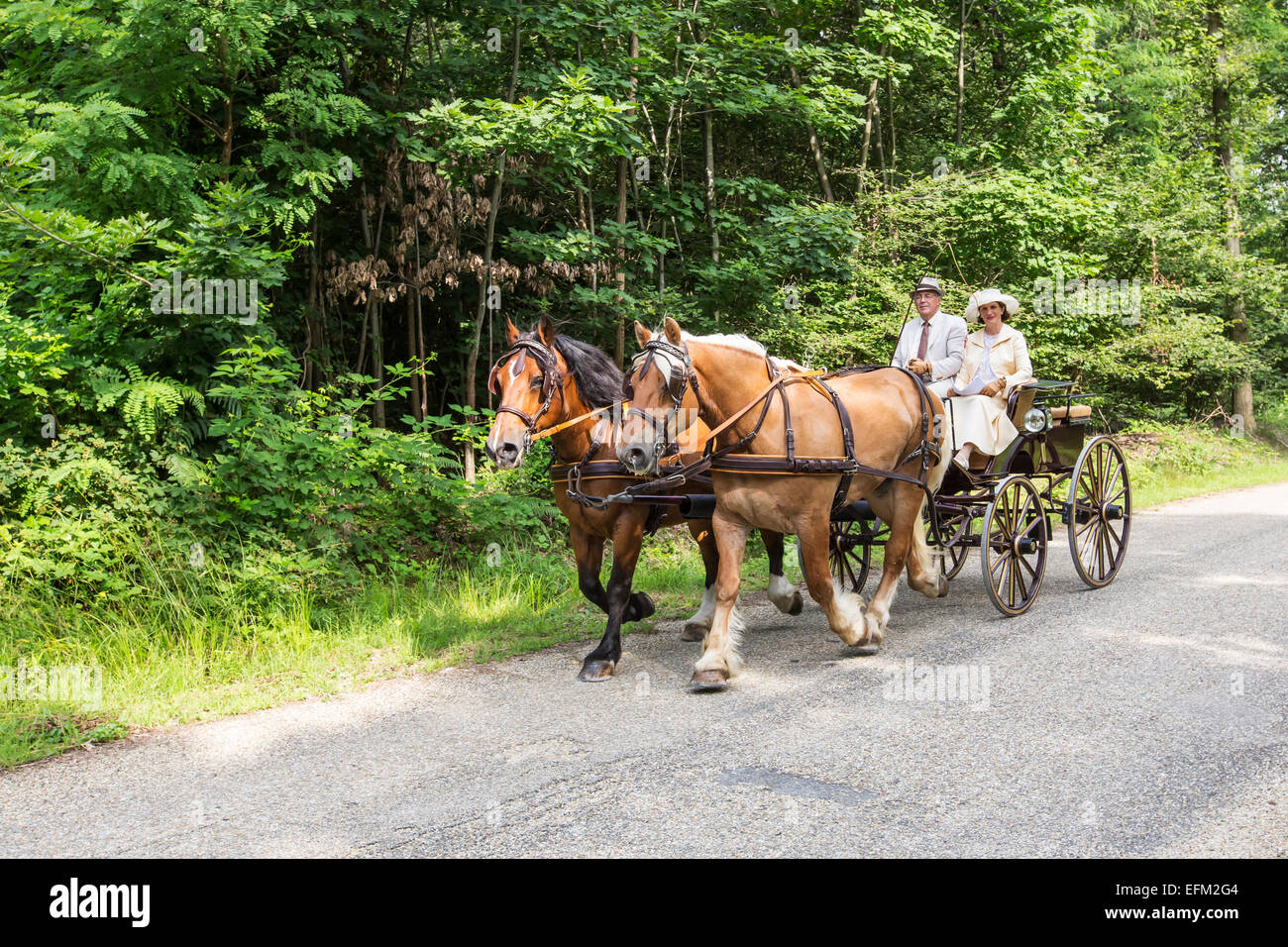 International competition for traditional carriages "La Venaria Reale ...
