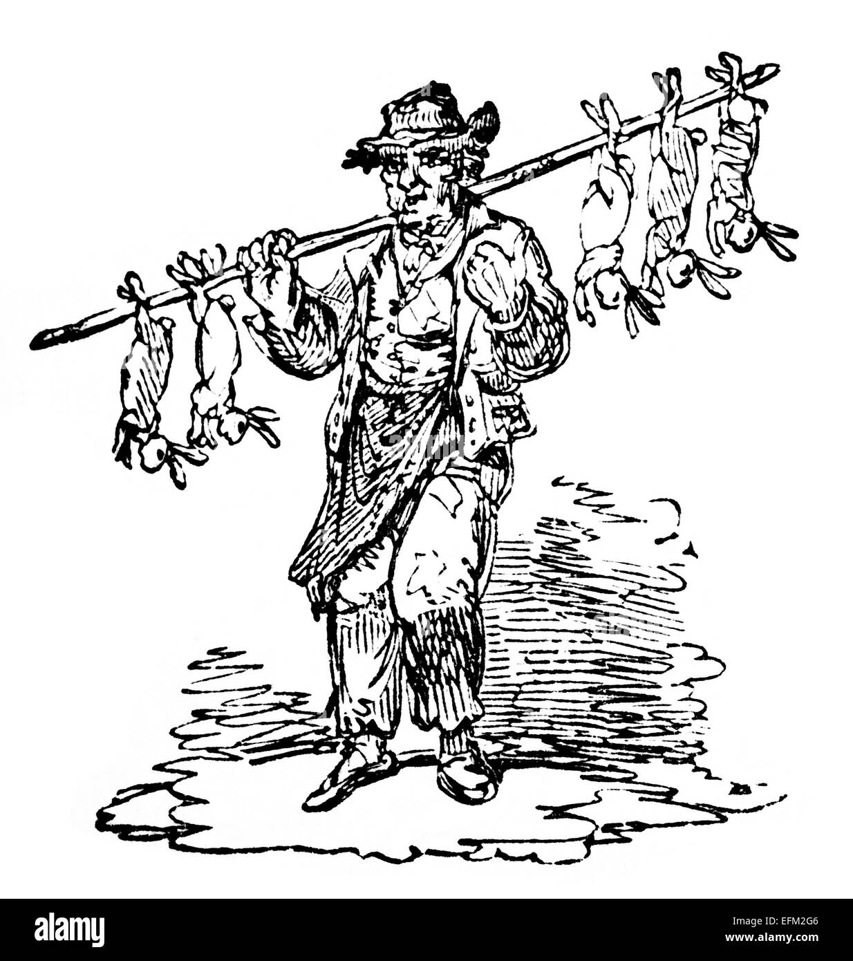 Hunting rabbits Black and White Stock Photos & Images - Alamy