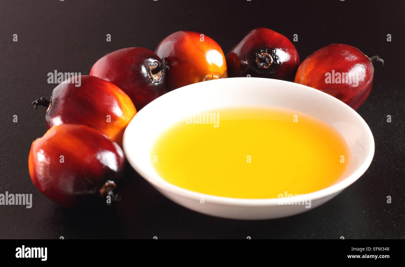 Oil palm fruits and a plate of cooking oil on black background Stock ...
