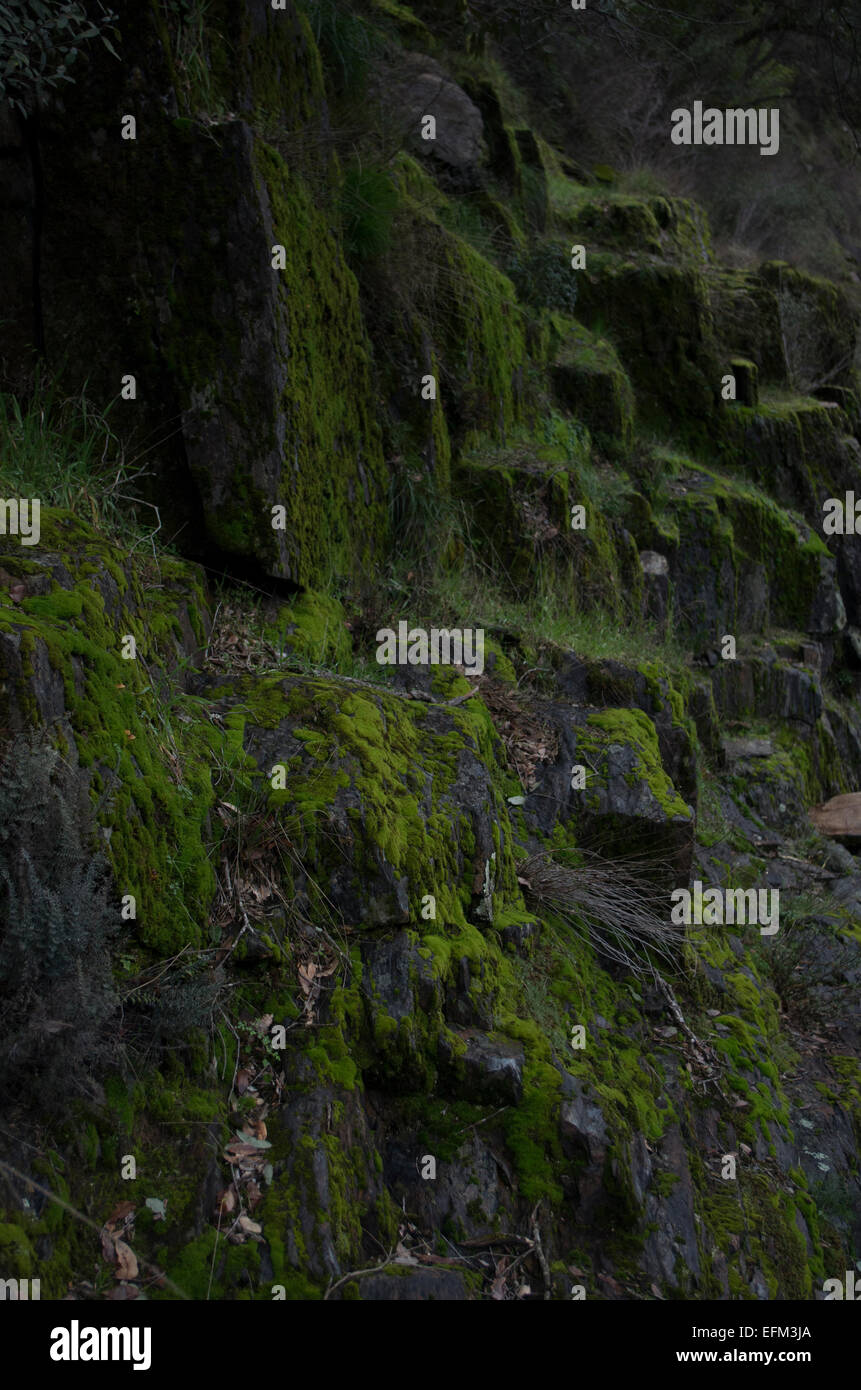American river hi-res stock photography and images - Alamy