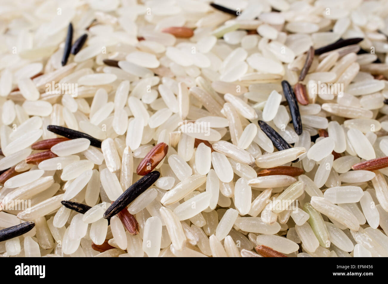 Mix of different species and varieties of rice Stock Photo - Alamy