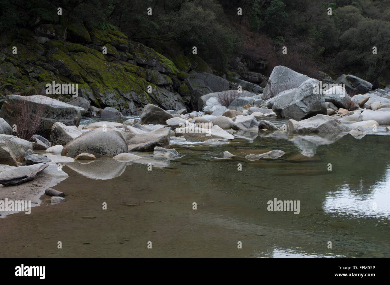River landscape with shimmering water Stock Photo - Alamy