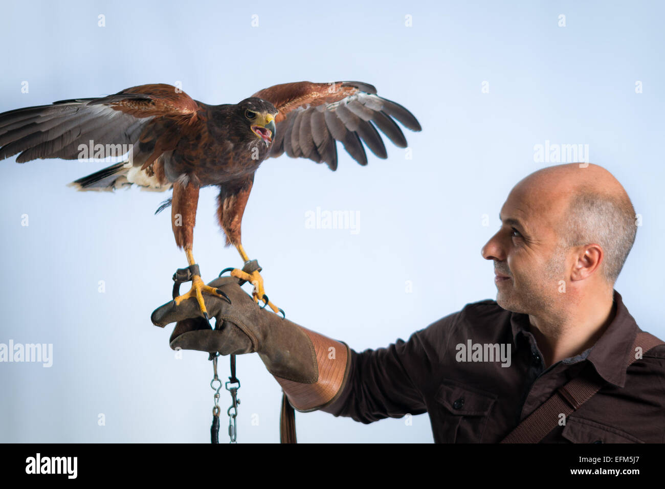 man and buzzanrd Stock Photo - Alamy