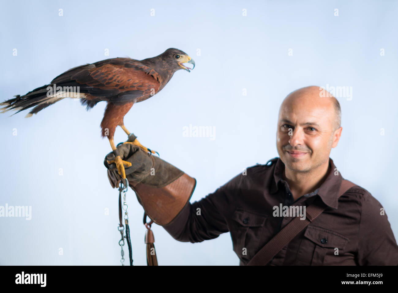 man and buzzanrd Stock Photo - Alamy