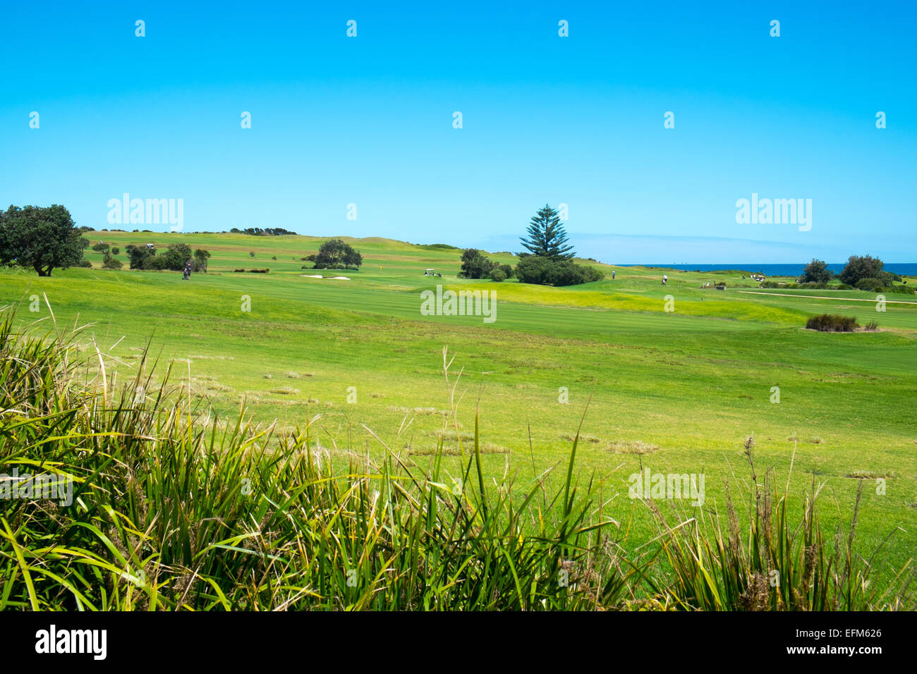 Long Reef golf course on Sydney's northern beaches,new south wales ...