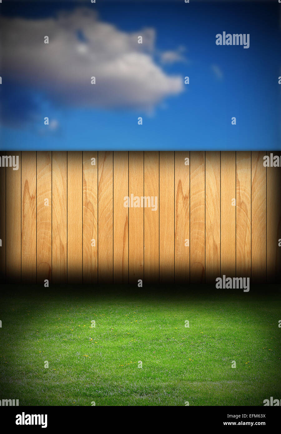 spruce fence in backyard, natural backdrop with green lawn and blue sky ...