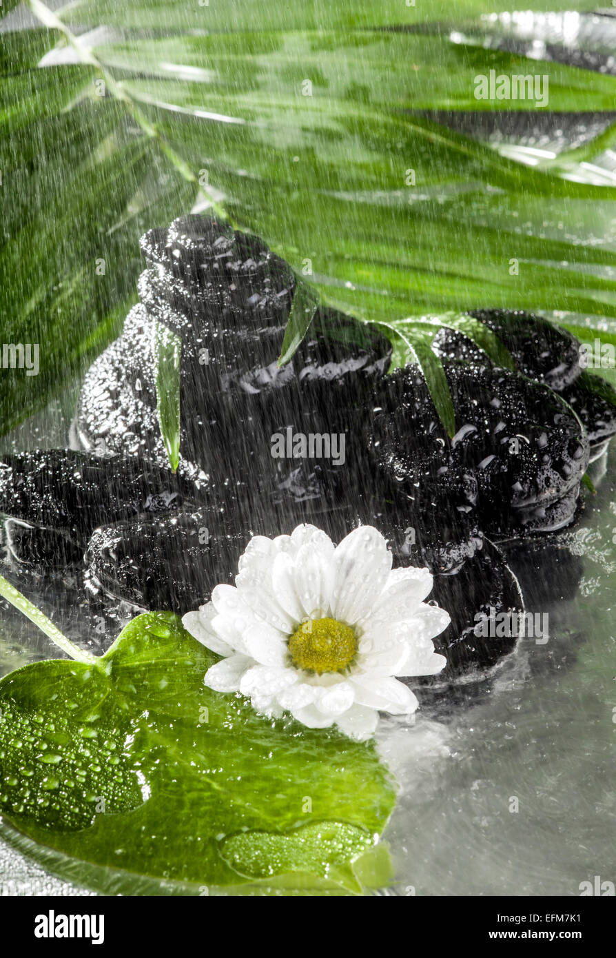 Tropical spa background in the water with falling rain Stock Photo - Alamy