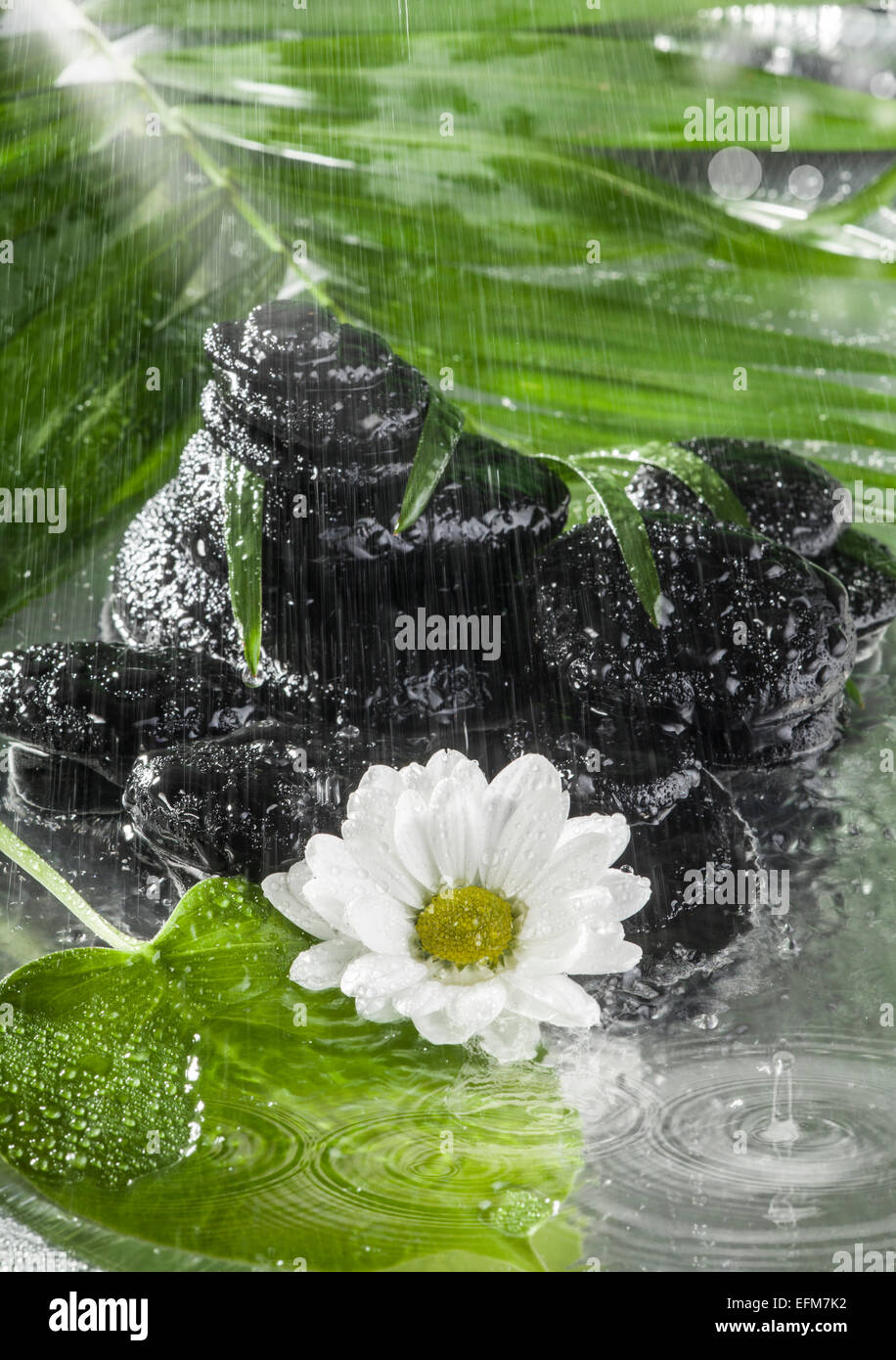 Tropical spa background in the water with falling rain. Special ...