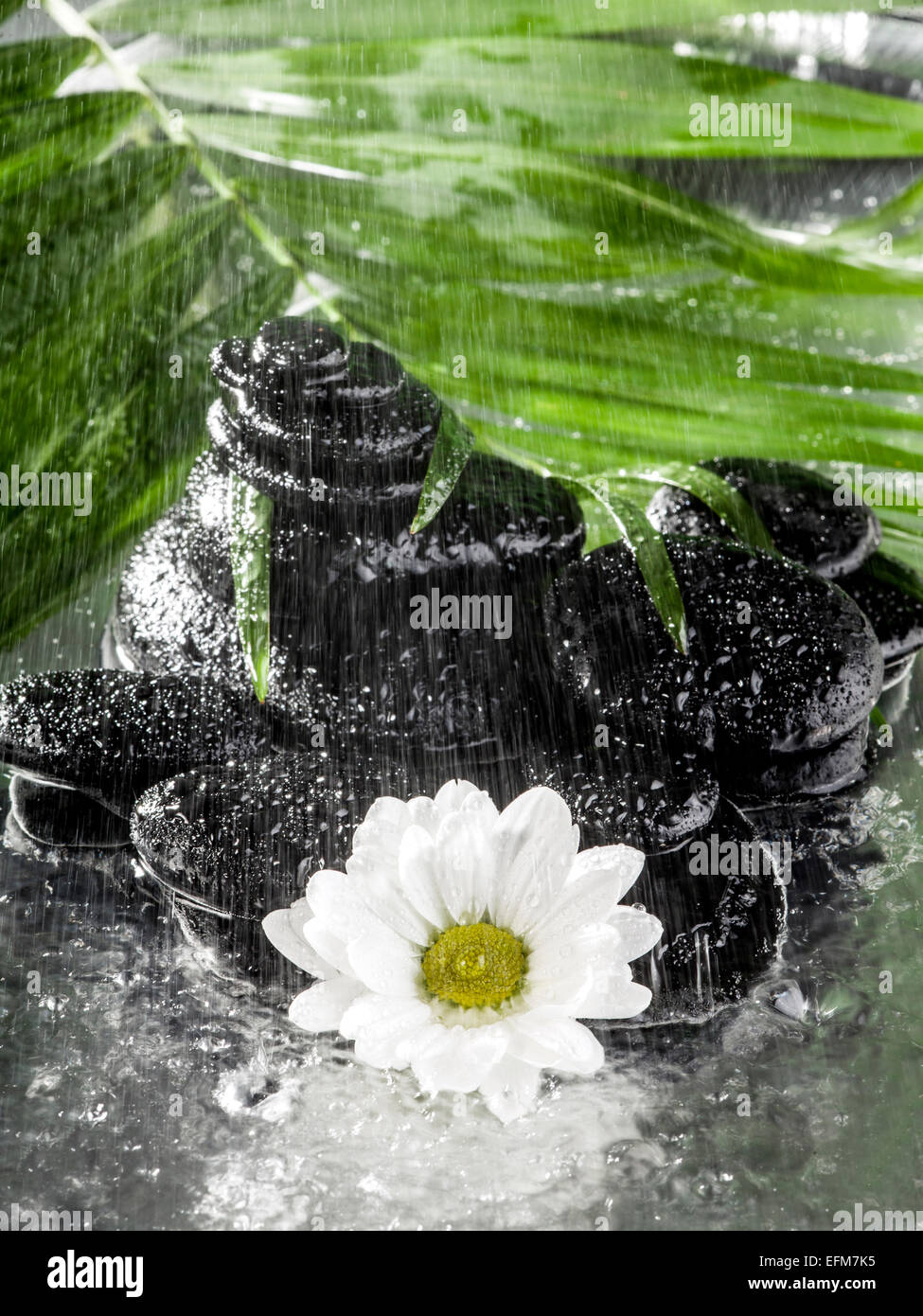 Tropical spa background in the water with falling rain Stock Photo - Alamy