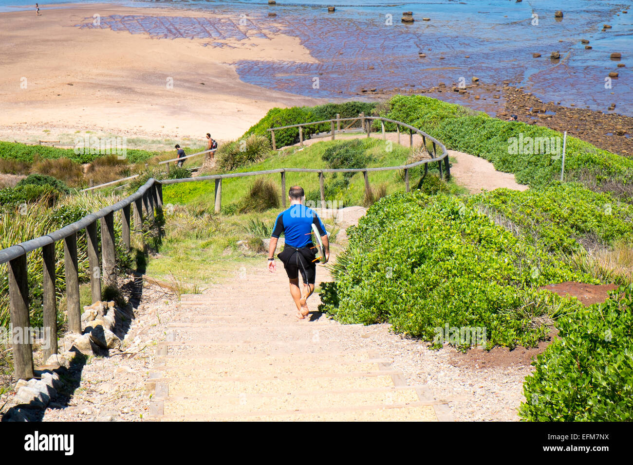 surfer walking to the beach at Long Reef on Sydney's northern beaches ...
