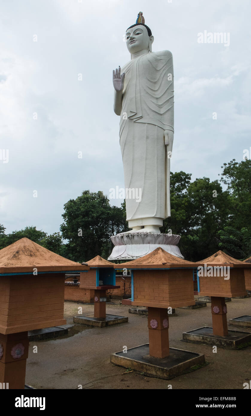 Multiple Disciples of Buddha Buddhas statues at Kimbissa a Buddhist ...