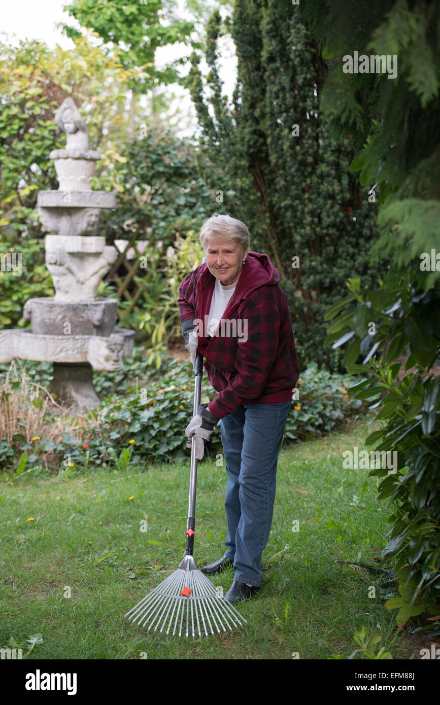 senior woman gardening, using leaf rake Stock Photo - Alamy