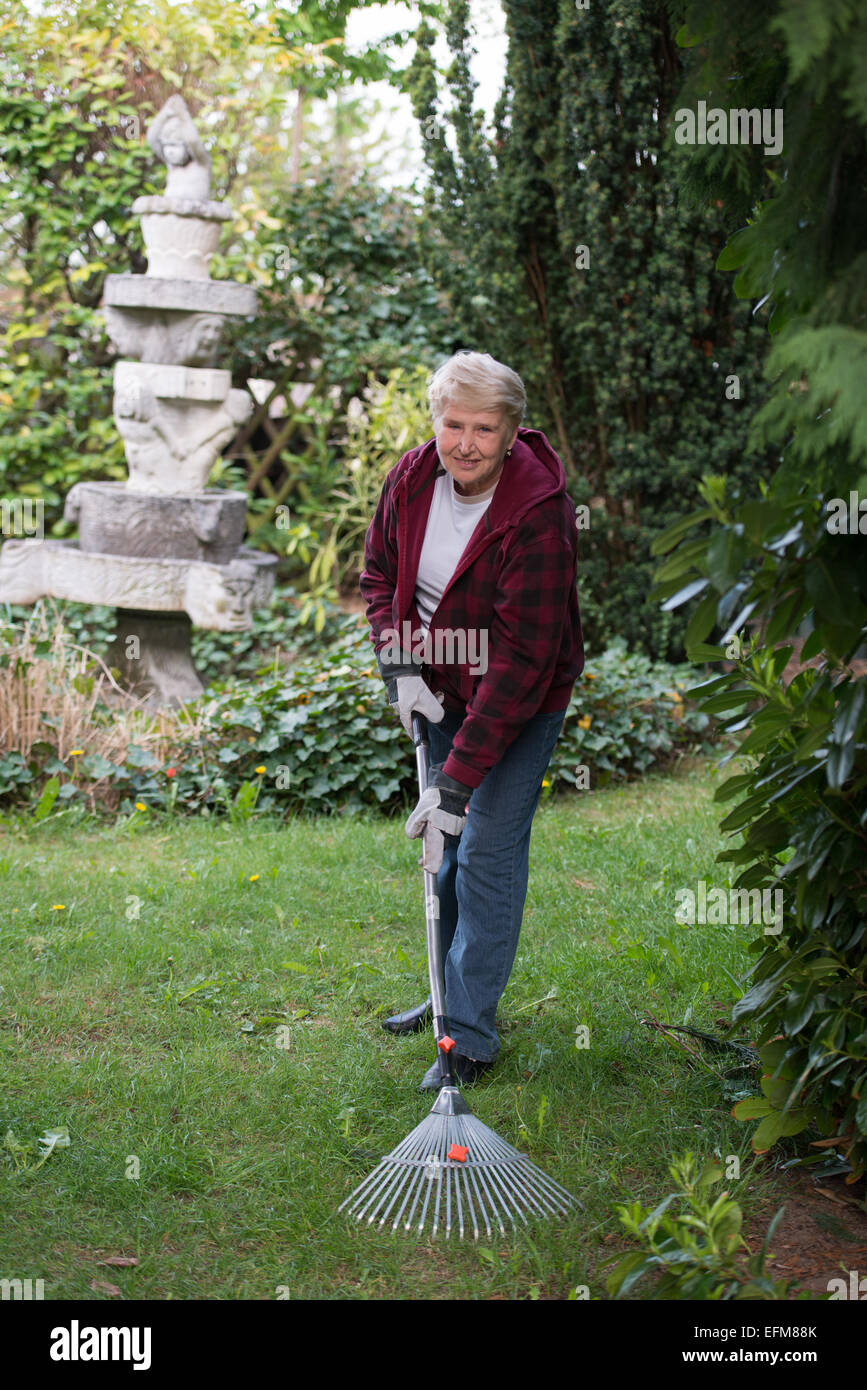 senior woman gardening, using leaf rake Stock Photo - Alamy