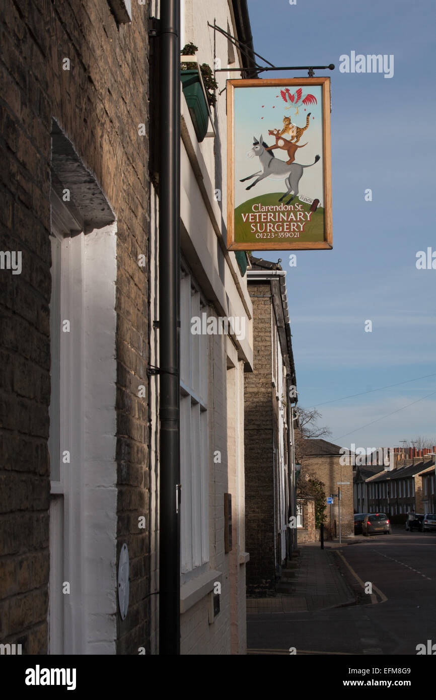 Veterinary practice hi-res stock photography and images - Alamy